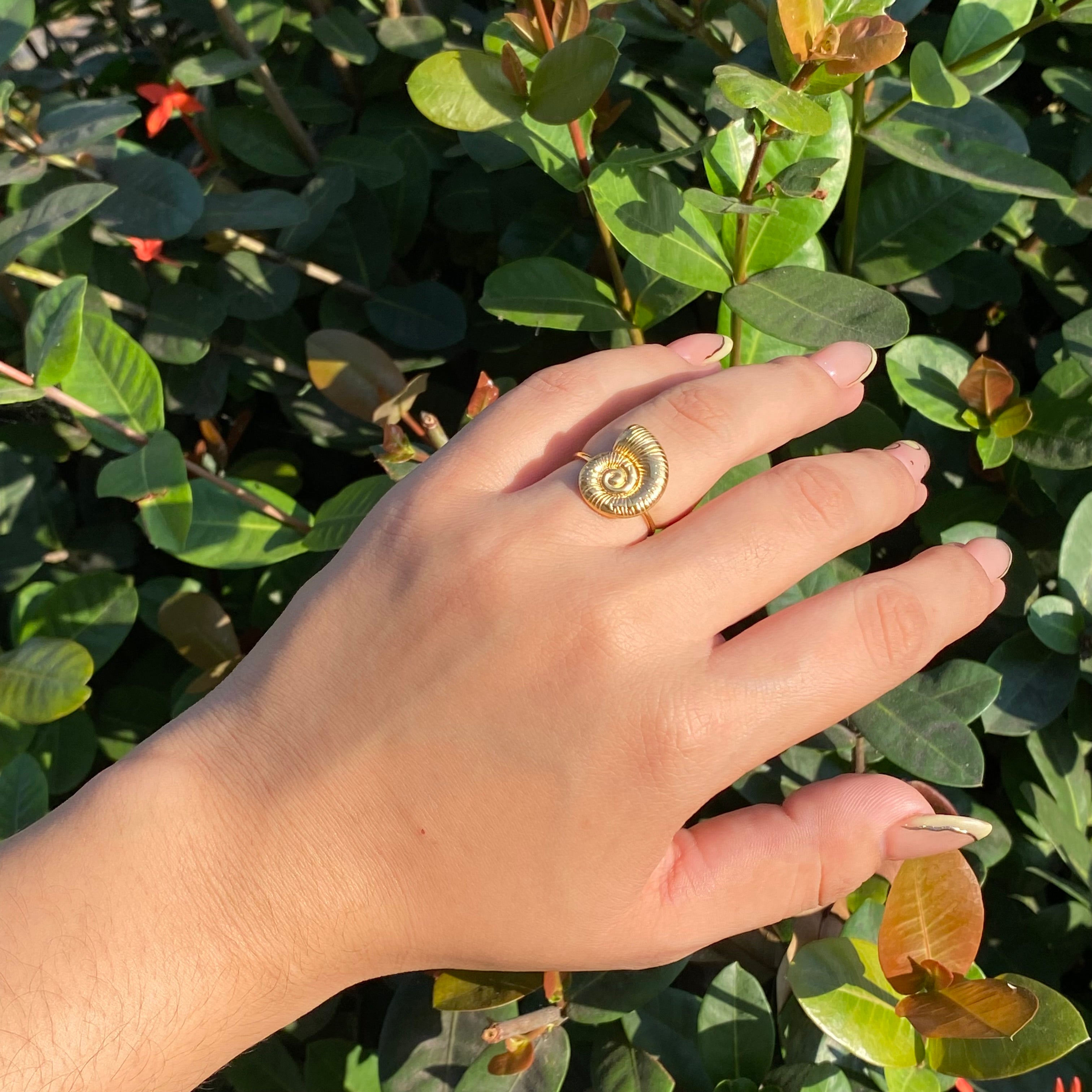 AN1490 acero – MAALVA