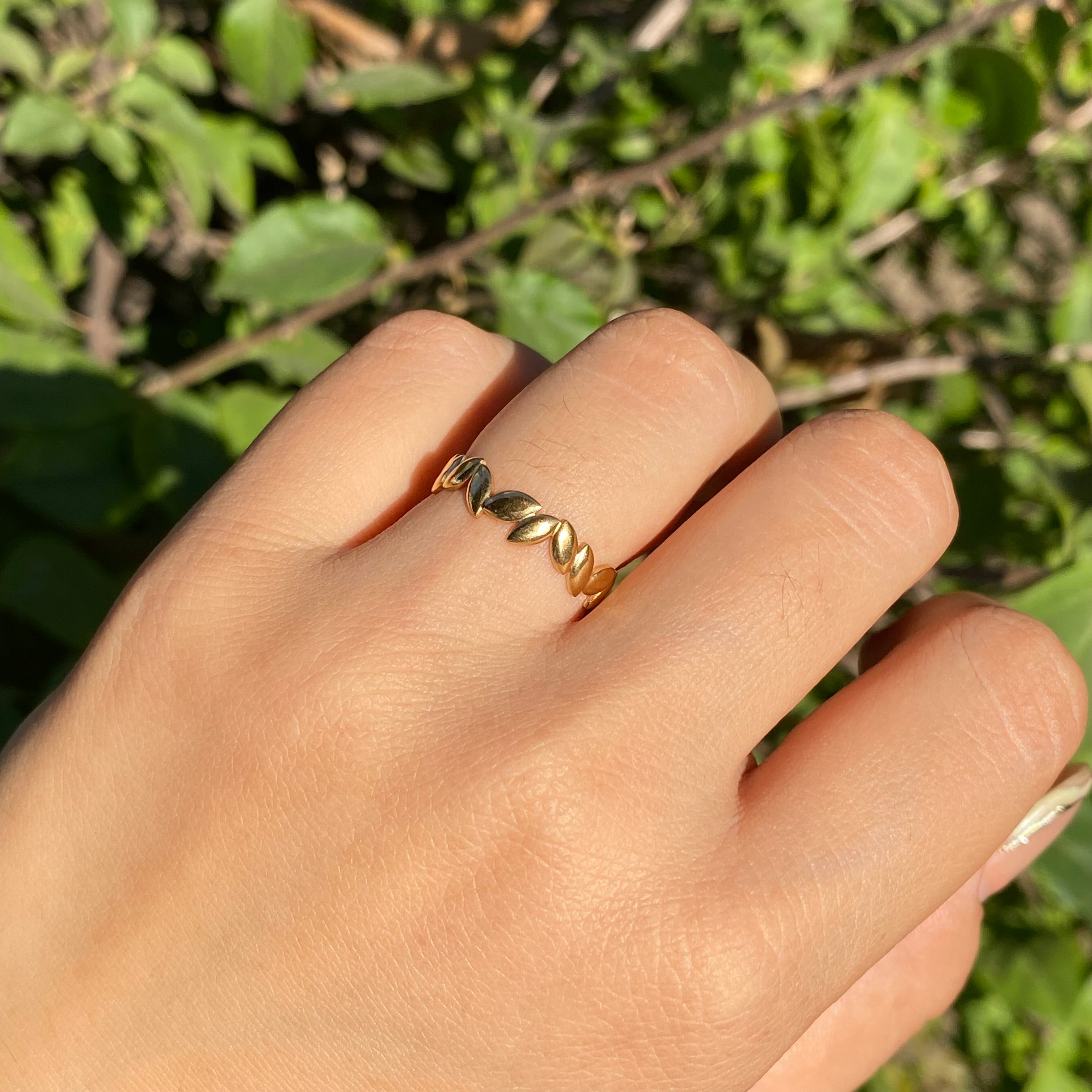 AN1504 acero – MAALVA